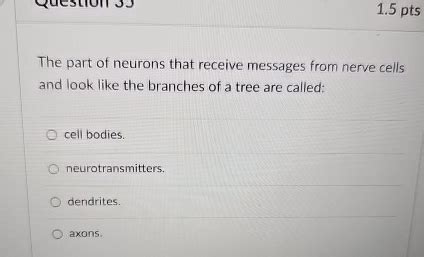 Solved 1 5 Pts The Part Of Neurons That Receive Messages Chegg Com