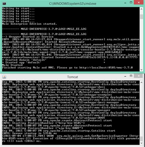 How To Install Mulesoft Mmc Trial Version In Windows An Integrated World