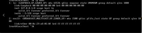 Centos 70 Id Addr命令ens33无ip地址显示解决办法 无法连接xsell 小白测试 博客园
