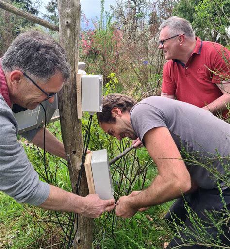 Arensnest Bodenfeuchte Selber Messen Fläming 365