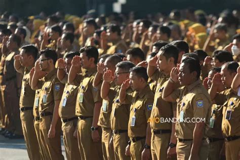 Rekrutmen CPNS 2024 7 Instansi Pemerintah Ini Bakal Buka Formasi CPNS
