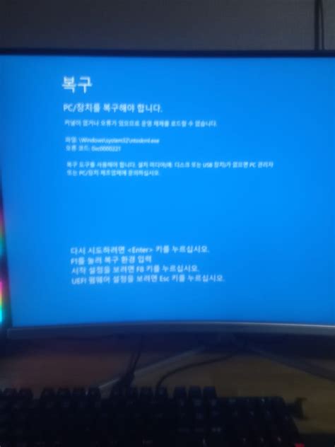 컴퓨터 블루스크린 지식in