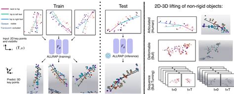 논문 리뷰 Unsupervised 2d 3d Lifting Of Non Rigid Objects Using Local Constraints