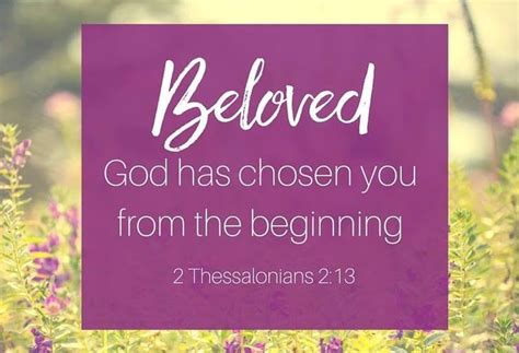 The Most Important Election Of Your Life — Prince Of Peace Lutheran