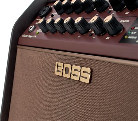 Boss Acoustic Singer Live | Music Arms