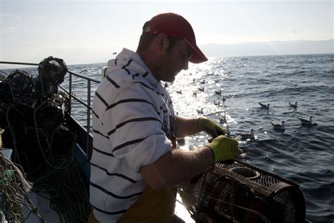 Auténtico Pulpo Y Nécora De Costa Da Morte
