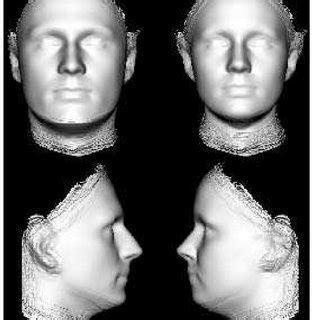 1 Illustration Of The Computationally Derived Information About The Download Scientific