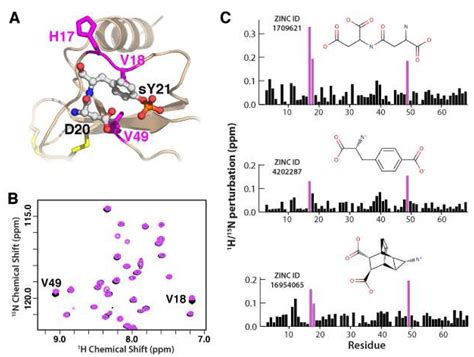 Targeting Sdf 1 Cxcl12 With A Ligand That Prevents Activation Of Cxcr4