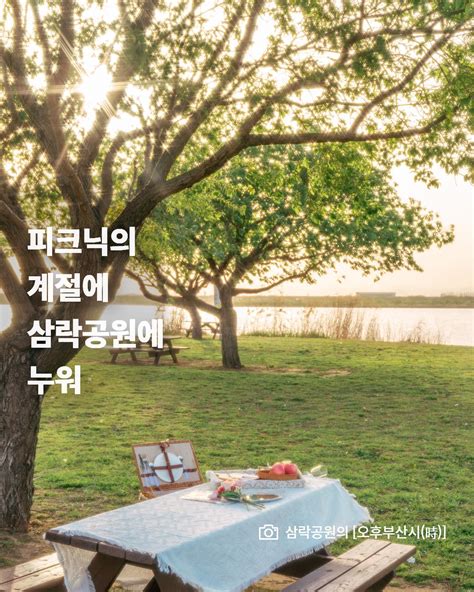 Bnk 부산은행 🧺🍱 피크닉의 계절 삼락공원 의 오후부산시 돗자리 깔고 봄냄새 만끽할 수 있는
