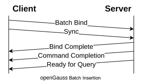 Opengauss Batch Insertion