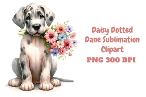Daisy Dotted Dane Sublimation Clipart Graphic By Applelemon1234