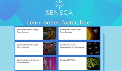 Seneca Learning