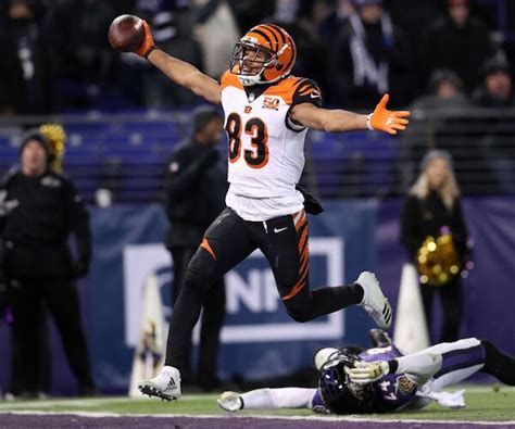 Bills Send Wings To Bengals As Buffalo Heads To Playoffs