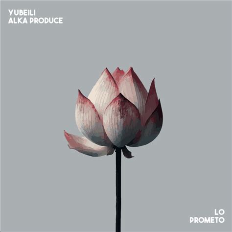 Lo Prometo Yubeili Alka Produce Song Lyrics Music Videos Concerts
