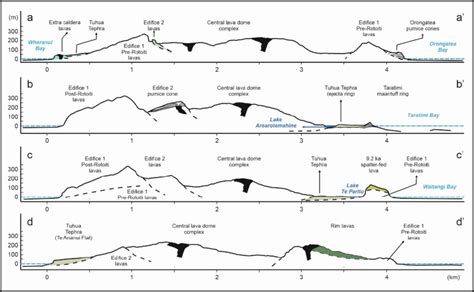 representative cross sections of tūhua with no vertical exaggeration