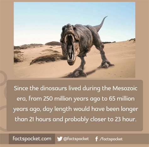 The Mesozoic Era Facts Events Timeline Video