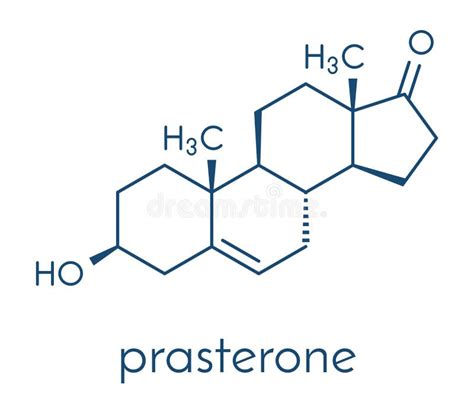 Dehydroepiandrosterone Dhea Prasterone Steroid Hormone Molecule Stock Illustration