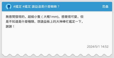 鑑定 鑑定 請益這是什麼蜘蛛？ 昆蟲板 Dcard