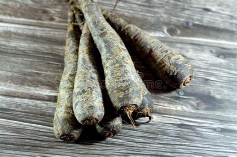 Black Carrots The Carrot Daucus Carota Subsp Sativus Is A Root