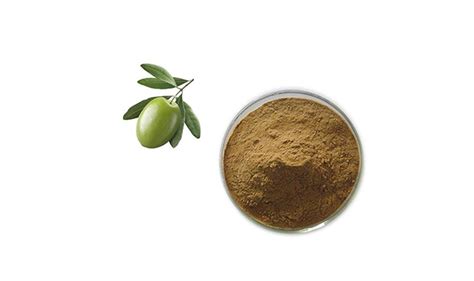 China Original Factory China Factory Supply Oleuropein Hydroxytyrosol Olive Leaf Extract