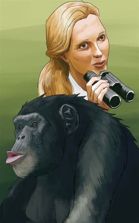 Jane Goodall La Embajadora Mundial De Los Chimpancés Principia