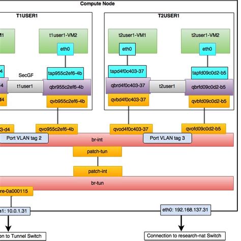 Compute Node Internal Network Structure Of Two Tenants Scenario Download Scientific Diagram