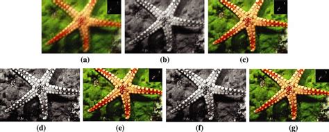 The Effectiveness Of Elastic Net Regularization For Image Deblurring A Download Scientific
