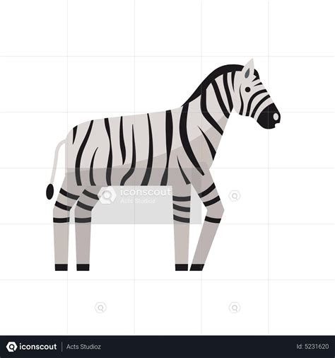 Zebra Animated Icon Download In Json Lottie Or Mp4 Format