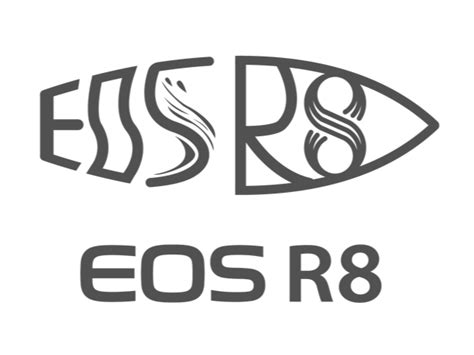 Eos R8 Logo 设计人生的真谛lpy 站酷zcool
