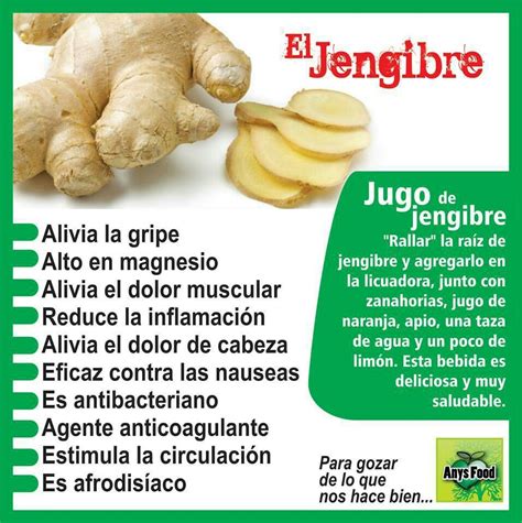 Los Beneficios Del Jengibre Para Tu Salud