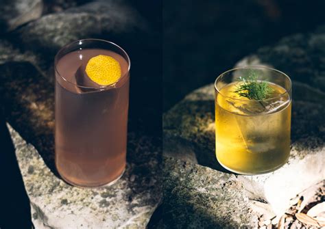 5 Recettes De Cocktails à Base De Gin Français