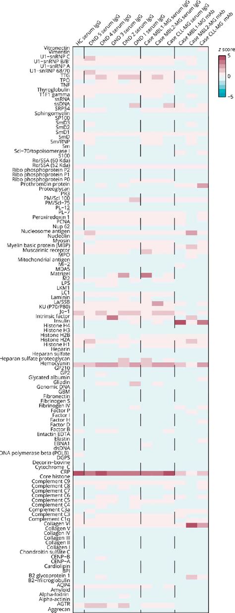 Cll Like B Cell Clones Are Not Directed Against Common Autoantigens Download Scientific Diagram