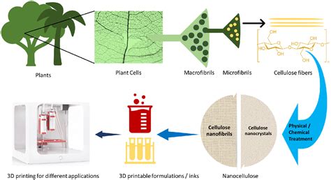 Figure 1 From 3d Printable Nanocellulose Based Functional Materials