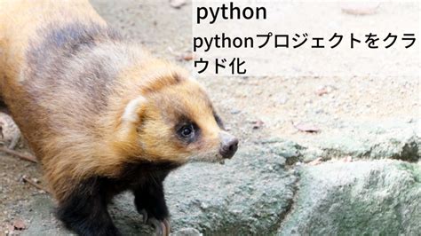 python 二次元配列にフィルターをかける最も簡単な方法 建設コンサルタントのカワシバ