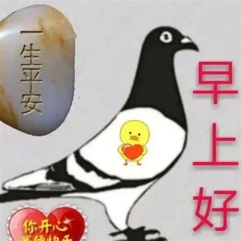 每天心情靠随和，一生幸福随缘命运