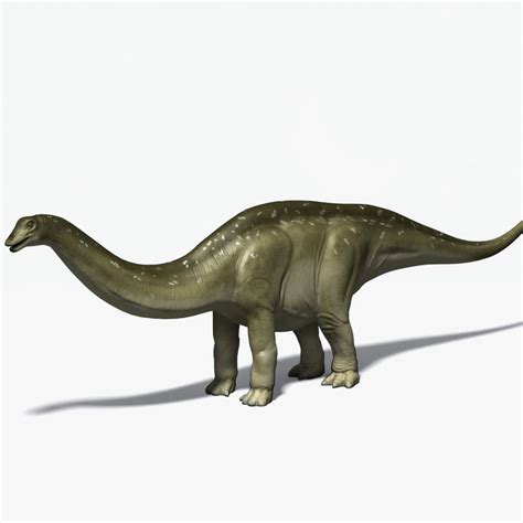 3d Apatosaurus Brontosaurus