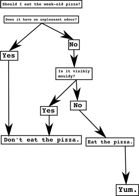 Ginger Coons Learns To Blog The Week Old Pizza Flowchart