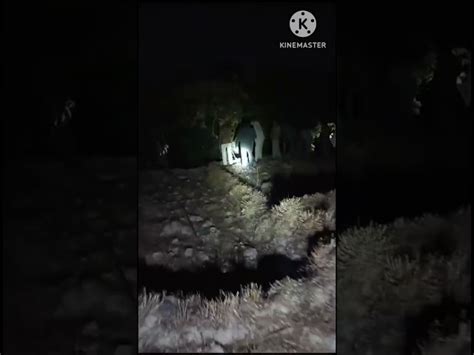रेड फोर्ट के एक ओर छात्र ने किया कमाल इस चैंपियनशिप में भारत सम्राट