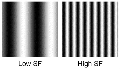 Spatial Frequency Khám Phá Tầm Quan Trọng Và Cách Sử Dụng Từ Trong Thị