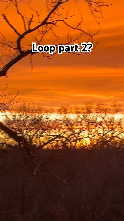 Loop Part 2 Youtube