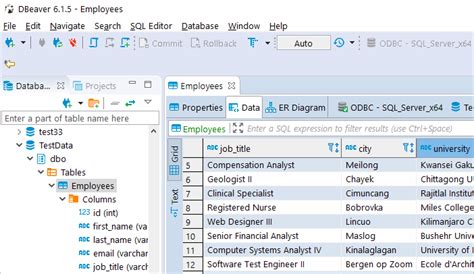 Connecting DBeaver To SQL Server Via ODBC Driver