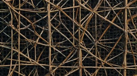 Visually Complex Pattern Of Interwoven Shapes And Lines Premium Ai