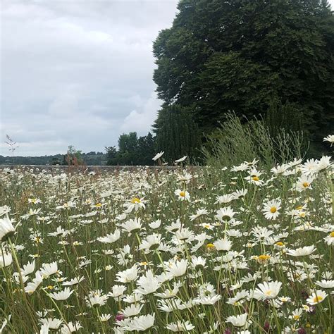 Éabha Maher Youtube