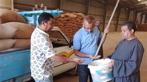 محافظ المنيا توريد 225 ألف طن قمح منذ بدء الموسم