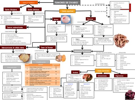 Ginecología y Obstetricia Tumor de Ovario