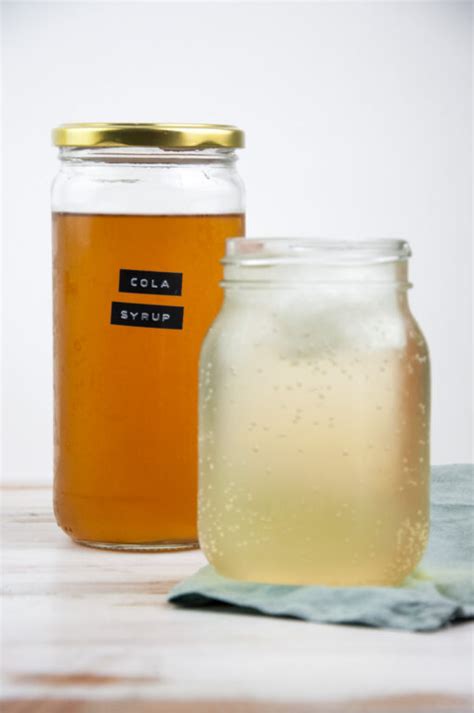 Natural Cola Syrup Elephantastic Vegan