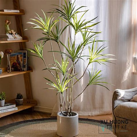 Cây Phất Dụ Rồng giả Cây cảnh phong thủy trong nhà hút may mắn tài lộc