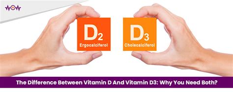 The Difference Between Vitamin D And Vitamin D Why You Need Both