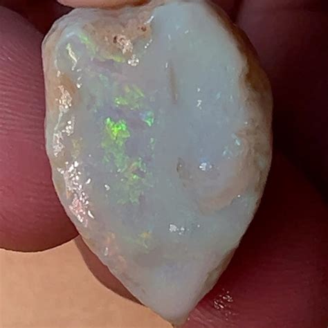 Opal Fossil Shell 400 Unearthed Aust Opal