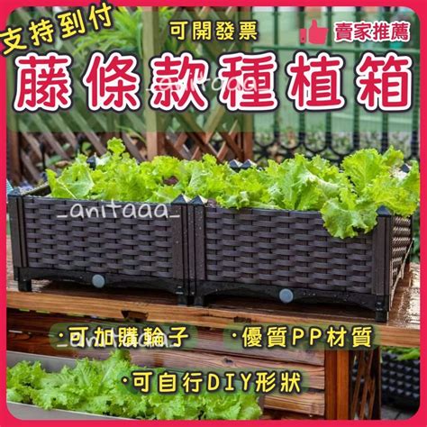 限時下殺 種植箱 種菜箱 花盆 種菜盆 陽台種菜 種菜神器 盆栽架 園藝 養殖箱 堆肥箱 菜盆 植栽盆 組合式架 栽培箱 蝦皮購物